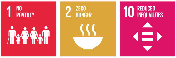 Birthday Pledge – Instituto Devolver